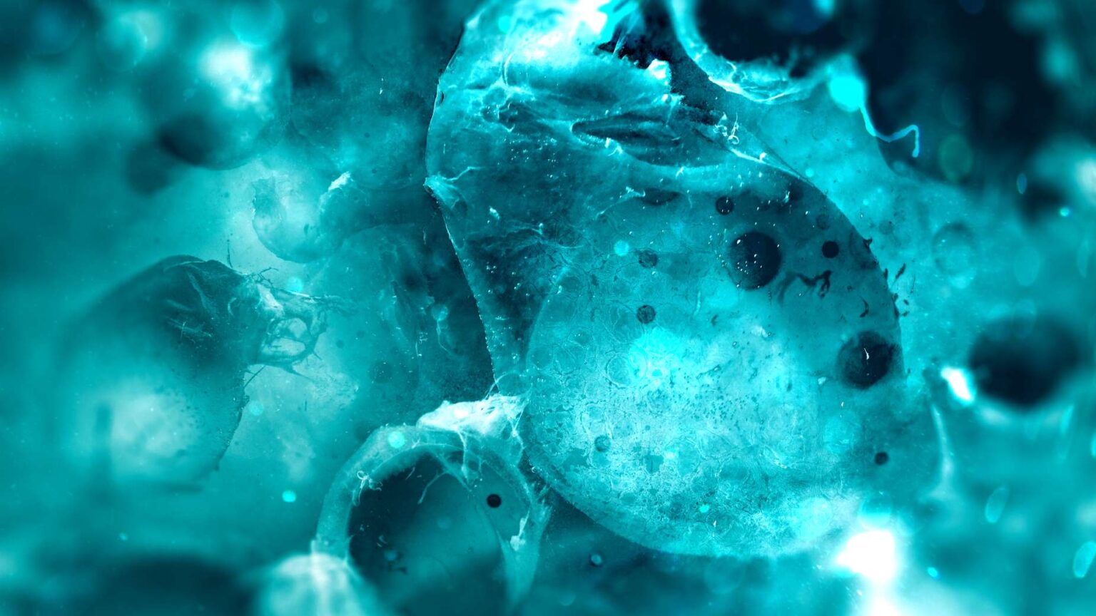 Goodbye to aging - Scientists discover that cells follow a biological ...