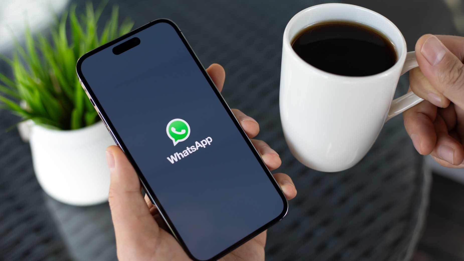 Don't Do This: Disabling WhatsApp AI Might Unknowingly Turn Off Meta AI on Your Phone—Here's Why ...