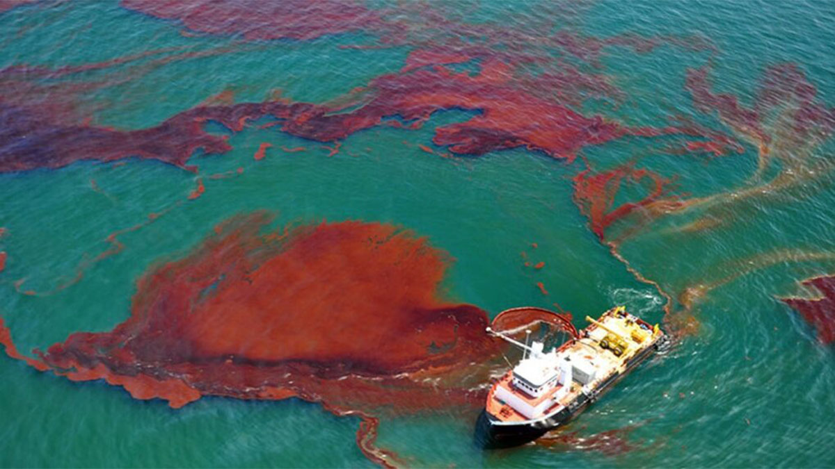 Confirmed by KAUST University—the Red Sea disappeared completely 6.2 ...